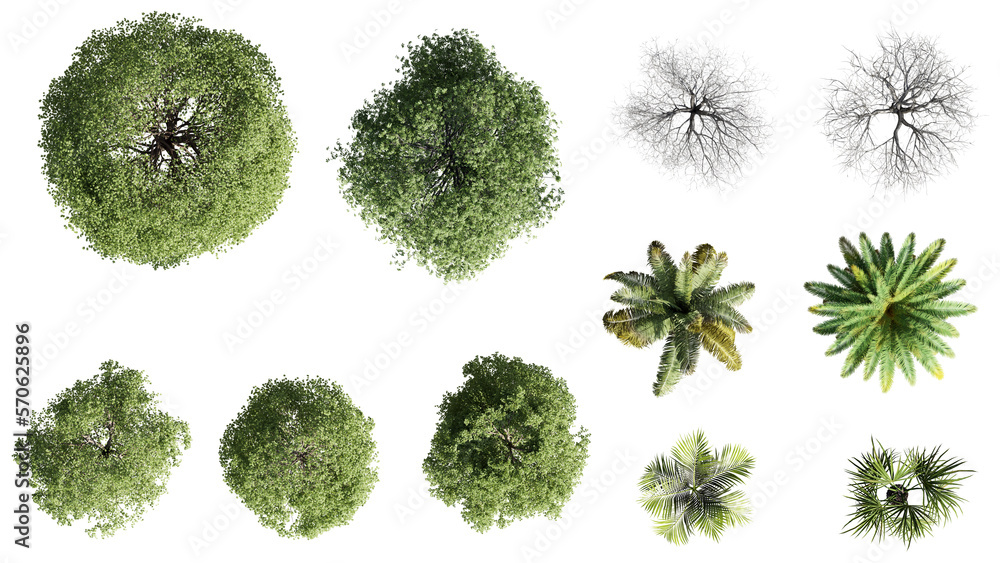 set of trees rendered from the top view, 3D illustration, for digital ...