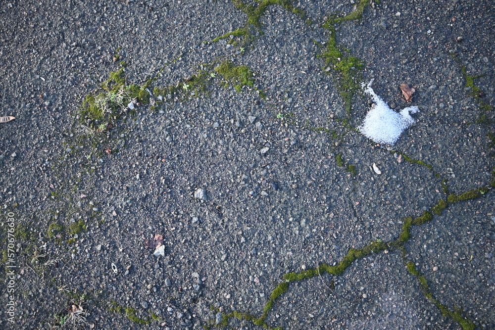 fissure on gray asphalt, gray asphalt erosion, soil split from tree ...