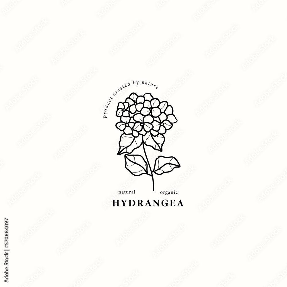 Line art hydrangea flower illustration Stock Vector | Adobe Stock