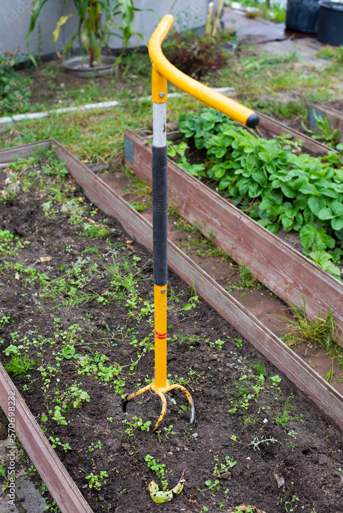 garden cultivator. cultivator from weeds Stock Photo | Adobe Stock