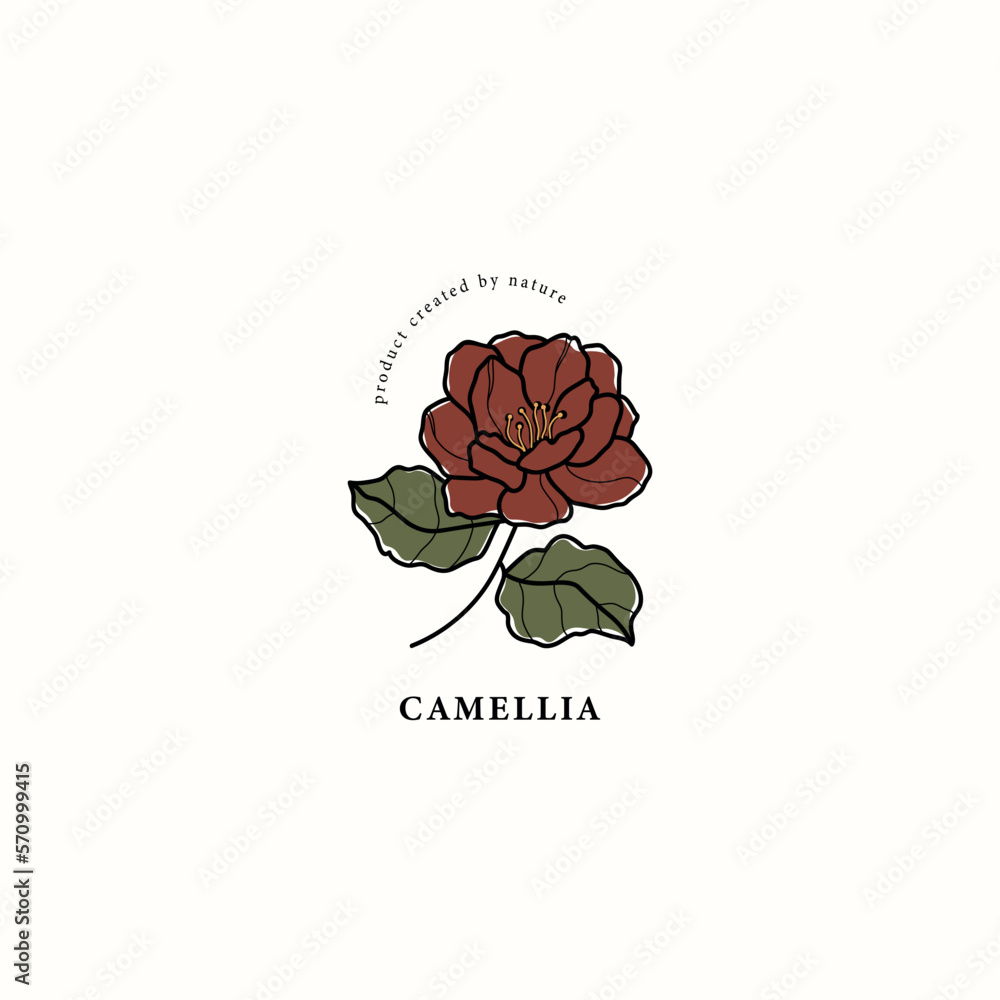 Line art camellia flower drawing Stock Vector | Adobe Stock