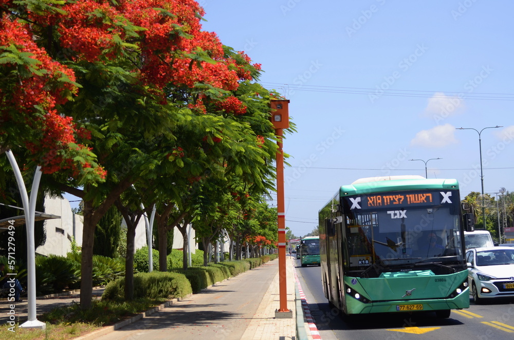 Tel Aviv. Israel. February 2023. Green passenger bus Egged close-up ...