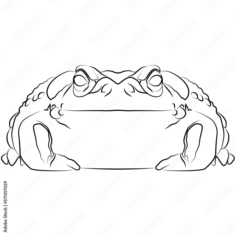 Stock-Illustration „Colorado River Toad of the Colorado River, Bufo ...