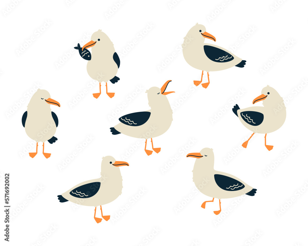 Cute seagull characters set. Isolated on white background. Cartoon hand ...