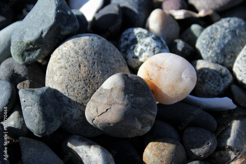 pebbles on the beach Variety of cobble stones on a beach in the Pacific ...