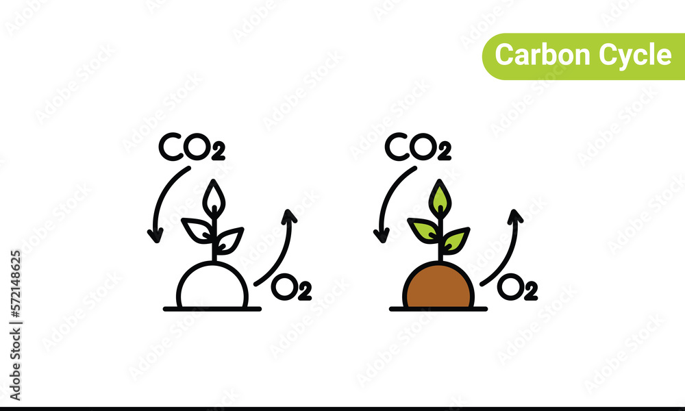 Carbon cycle. Tree absorbs CO2 and releases O2. Photosynthesis process ...