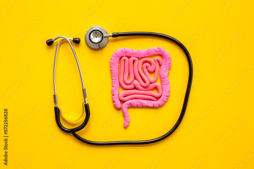 Digestive colon system health concept. Intestines shape made of ...