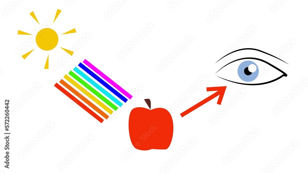 Ilustração Color perception. Physics of color formation, color ...