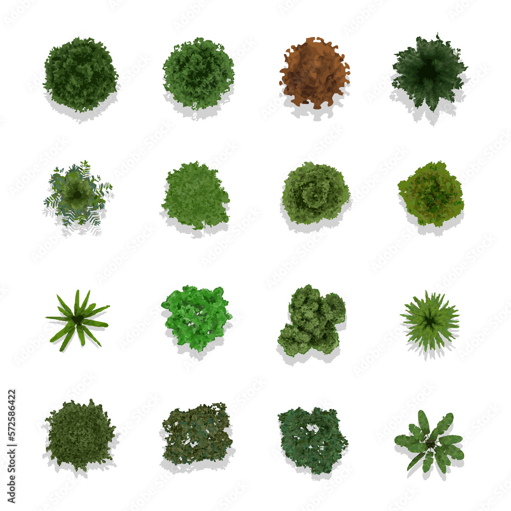 Trees top view for landscape design Stock Illustration | Adobe Stock