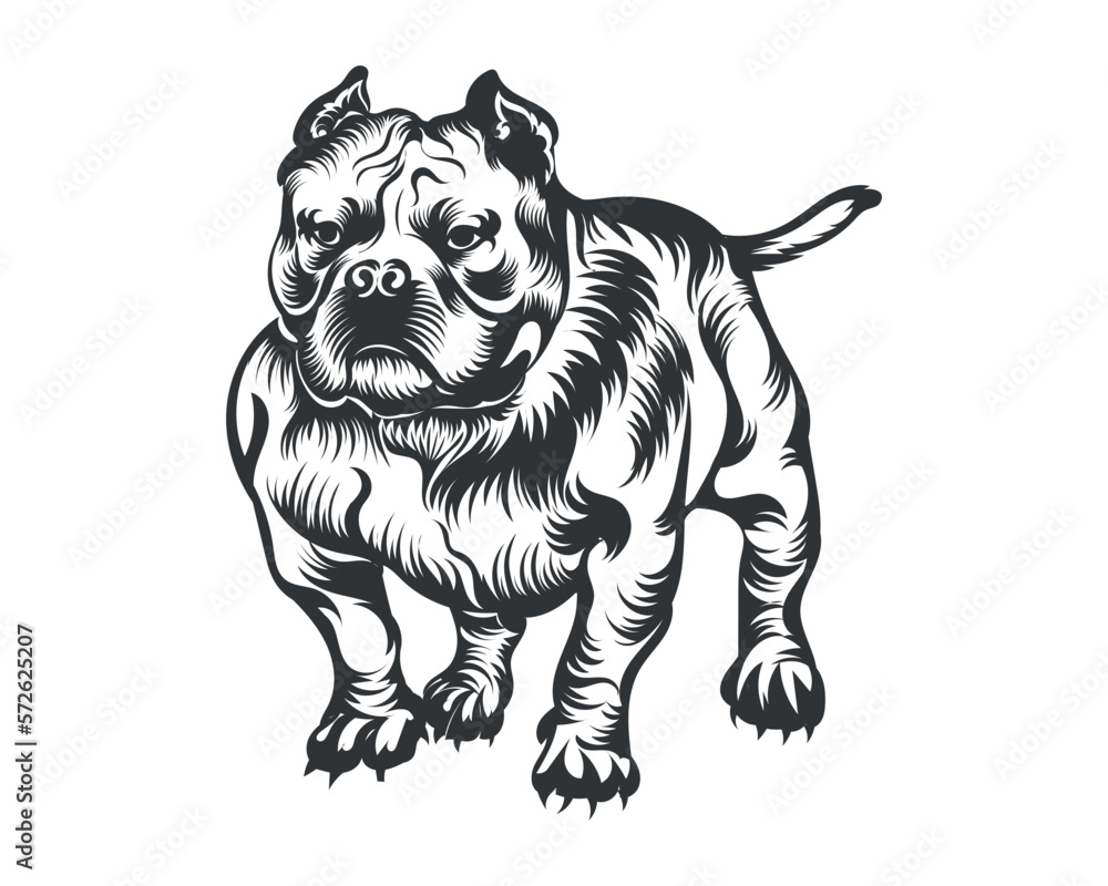 American Bully Dog Vector Illustration, Bully Dog Vector Black on White ...