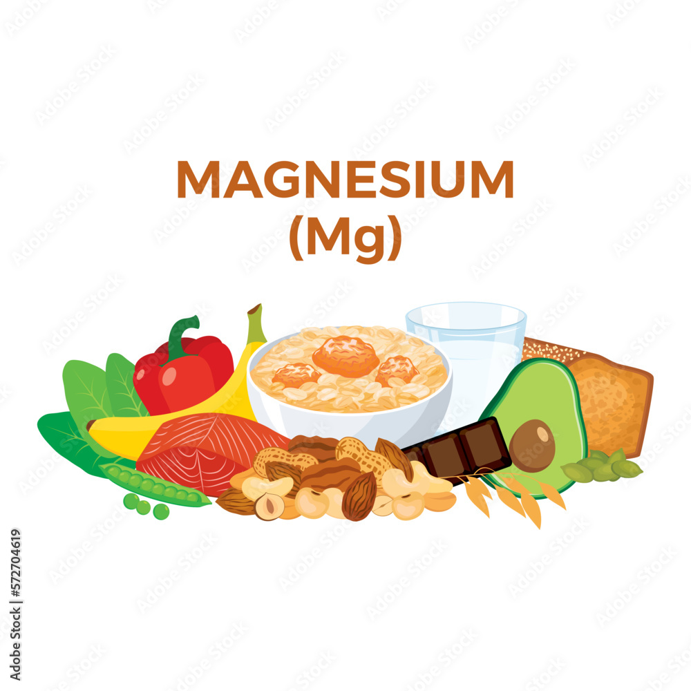 Magnesium (Mg) in food icon vector. Magnesium food sources vector ...