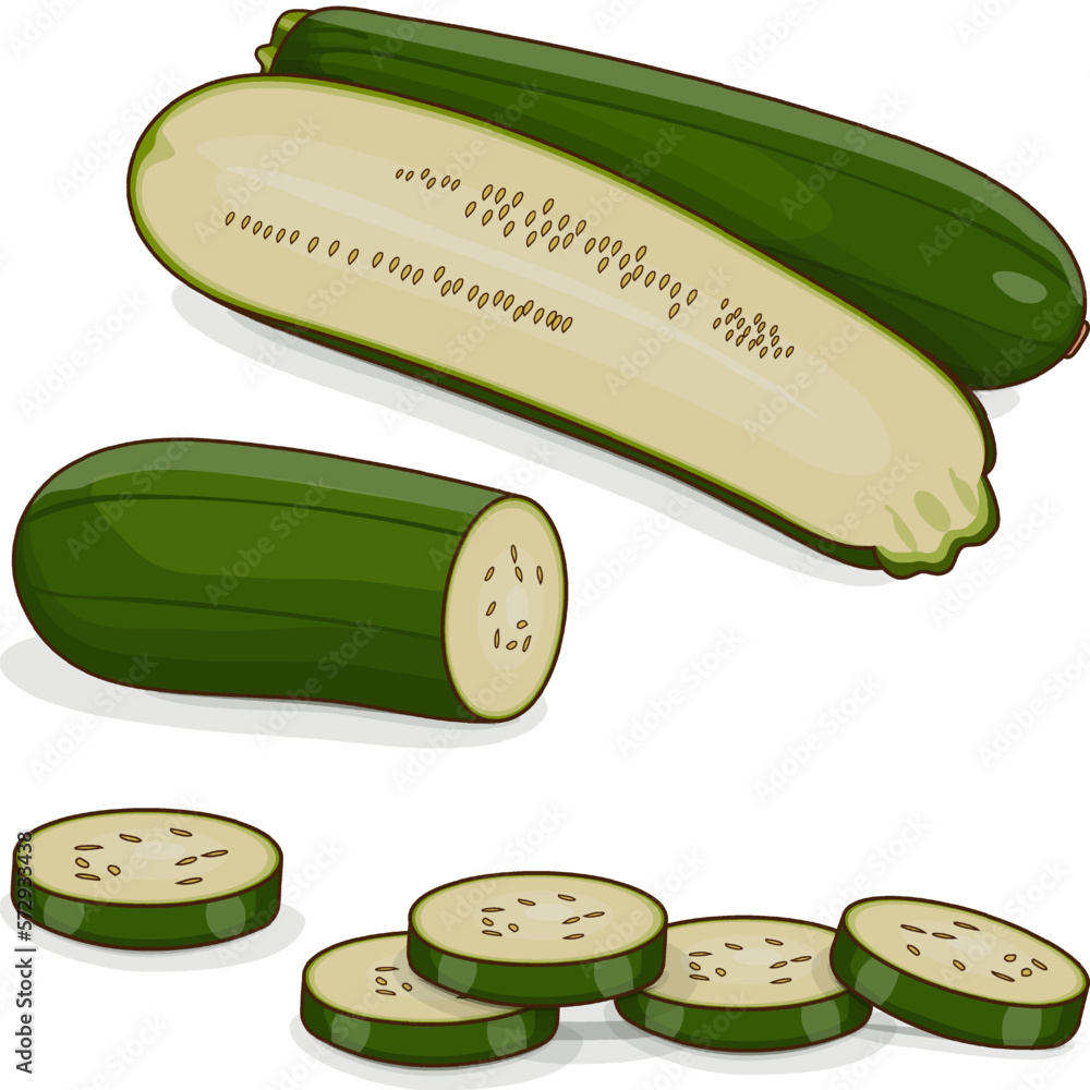 Whole, half, quarter, slices of Green Zucchini. Courgette or marrow ...