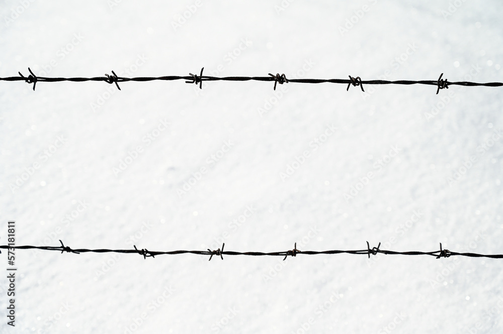 Barbed wire against snow. Rusty metal wire fence. Symbol of ...