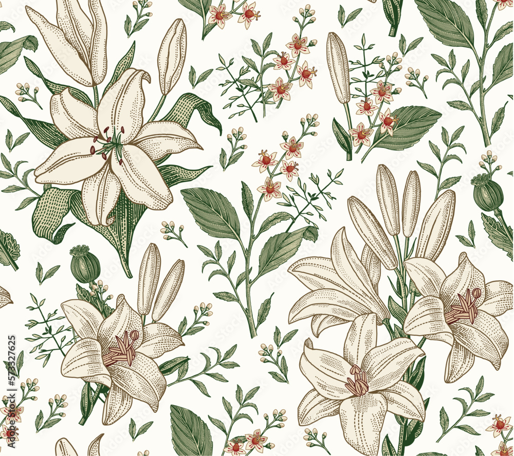 Seamless pattern Lily Lilia wildflowers set. Beautiful blooming ...