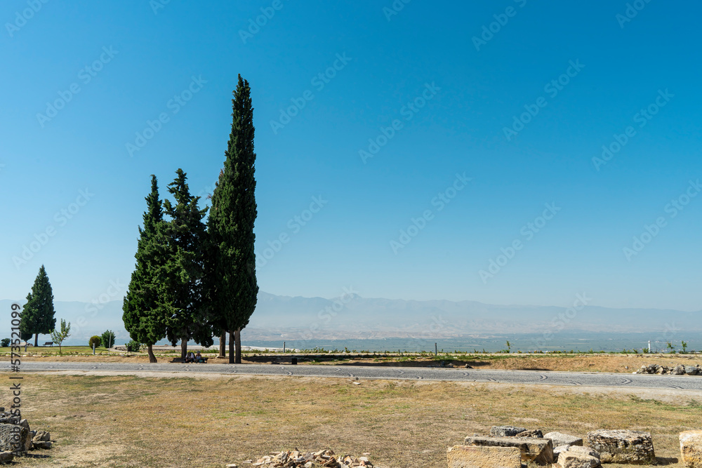 Black cypress trees in the Northern Necropolis area of Hierapolis near ...