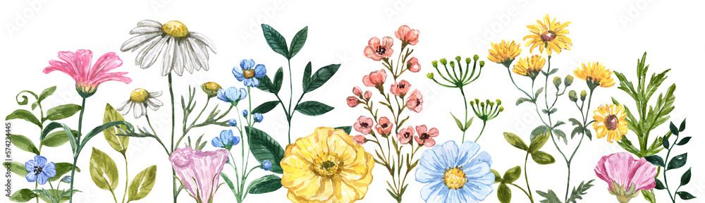 Colorful Flower Frames And Borders