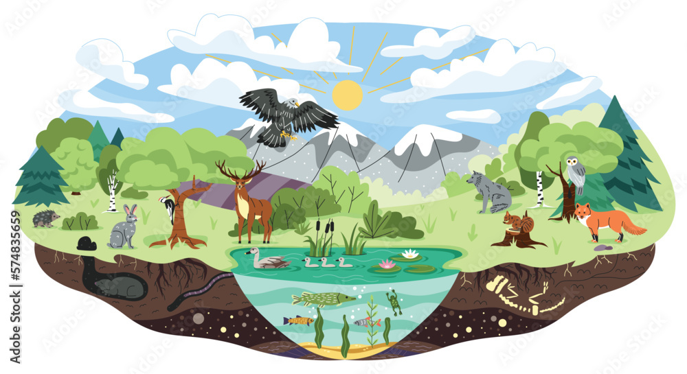 Concept of ecosystem. Biodiversity and different forest habitats ...