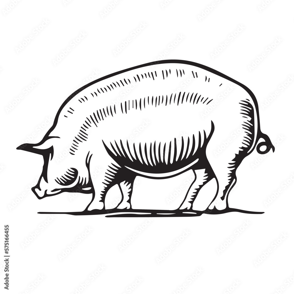 Funny Pig coloring pages, Pig coloring pages, Animal Coloring page ...