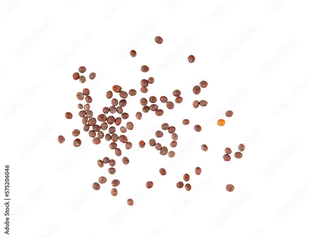 mustard seeds isolated on transparent png Stock Photo | Adobe Stock