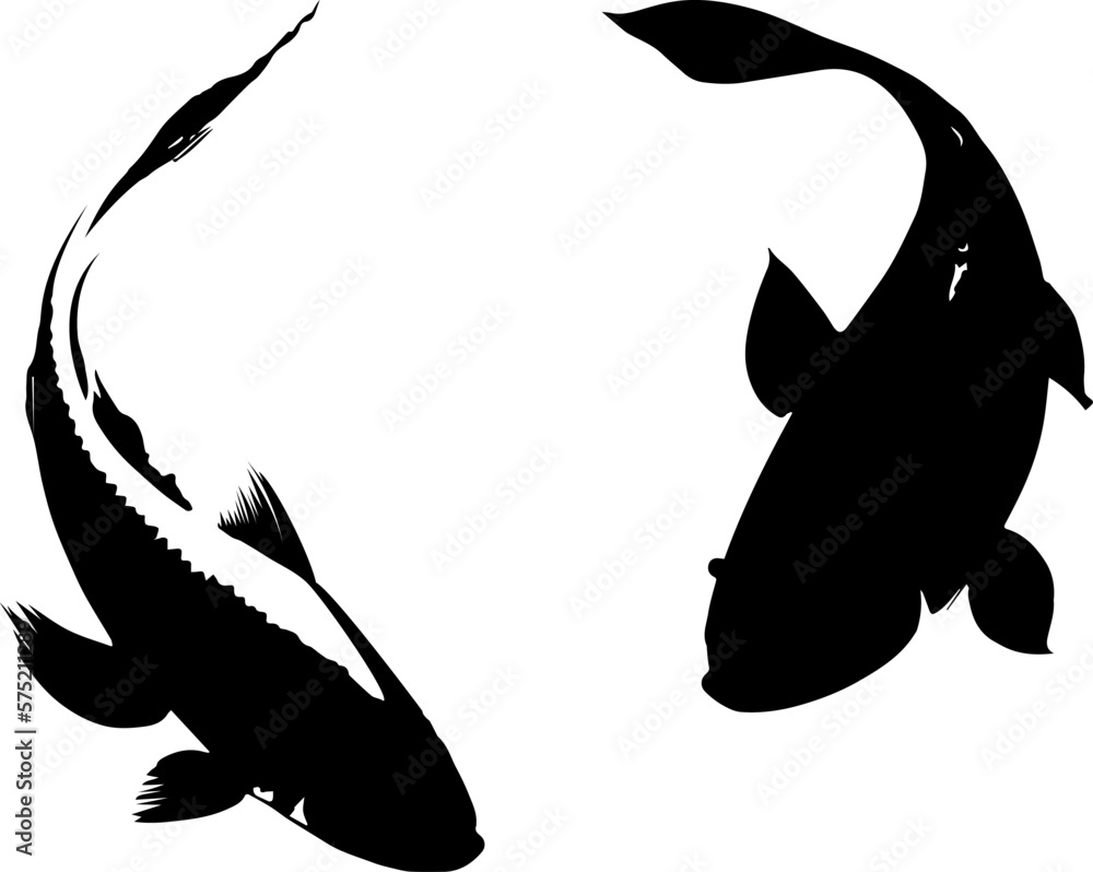 Two fish black silhouette. Isolated element. Black shape on white ...