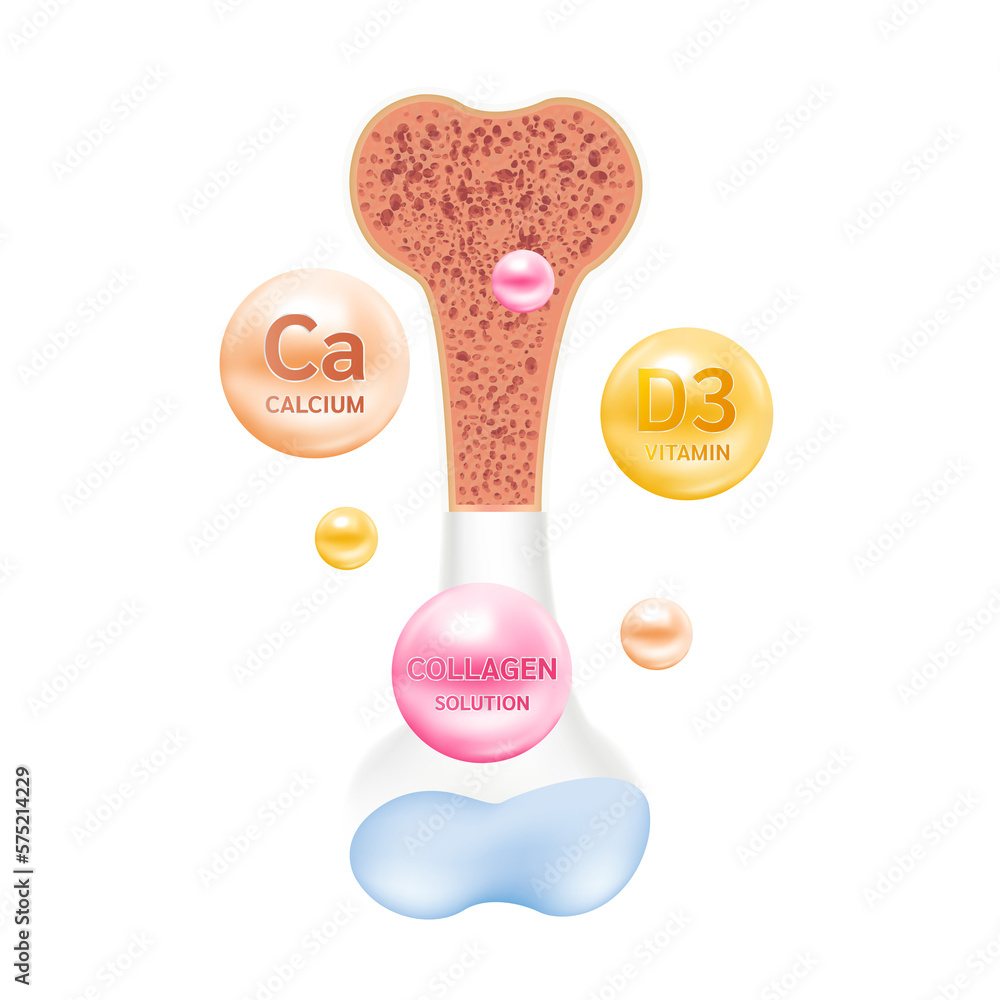 Illustration Stock Human bone anatomy. Calcium collagen vitamin D3 ...