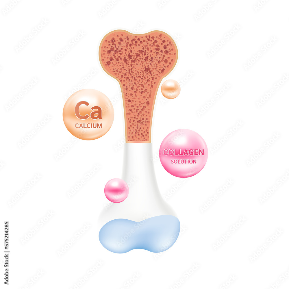 Human bone anatomy. Calcium collagen therapy bone protection. Help heal ...