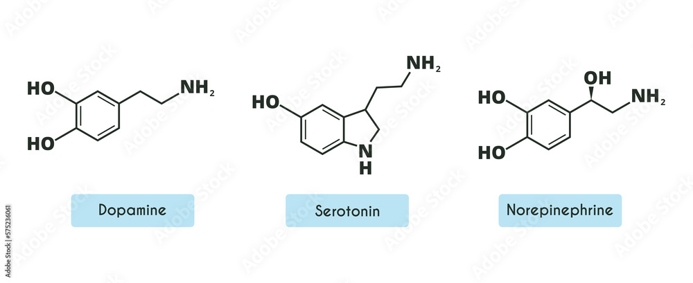 Dopamine, Norepinephrine (noradrenaline) and serotonin molecular ...