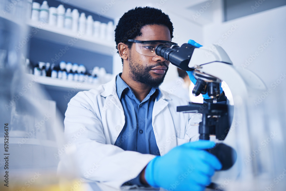 Microscope, science and black man working on study in laboratory for ...