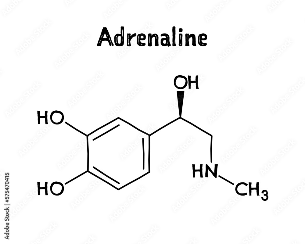 Adrenaline molecular structure. Adrenaline, or epinephrine, is a ...
