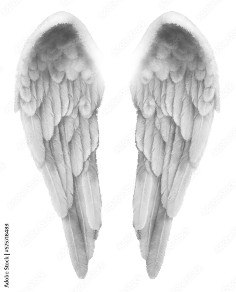 Finely detailed illustration of a Pair of silver grey Angel Wings ...