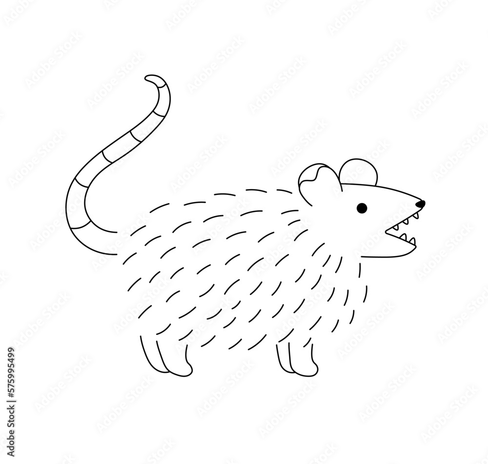 Vector isolated one single shaggy toothy rat possum with long tail side ...
