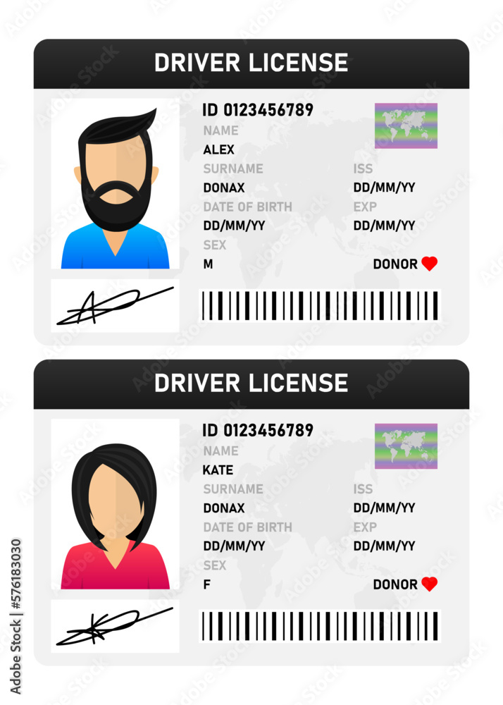 Drivers license of a woman and a man. Flat design template for vehicle ...