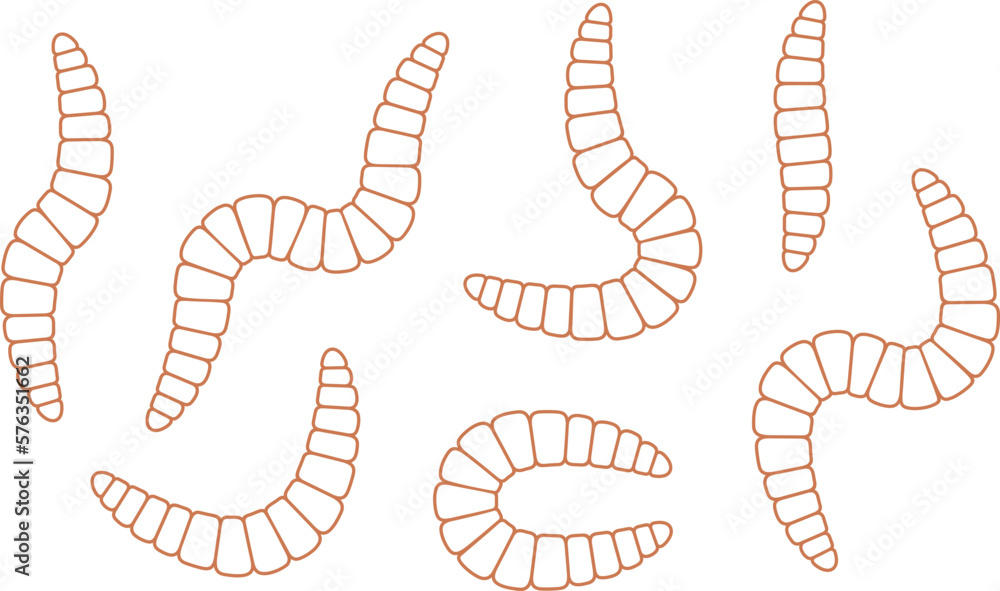Earthworm outline. Isolated earthworm on white background Stock Vector ...