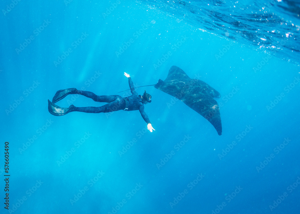 Underwater diver with manta ray fish Stock Photo | Adobe Stock