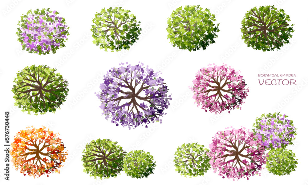 Vector watercolor of blooming tree top view isolated on white ...