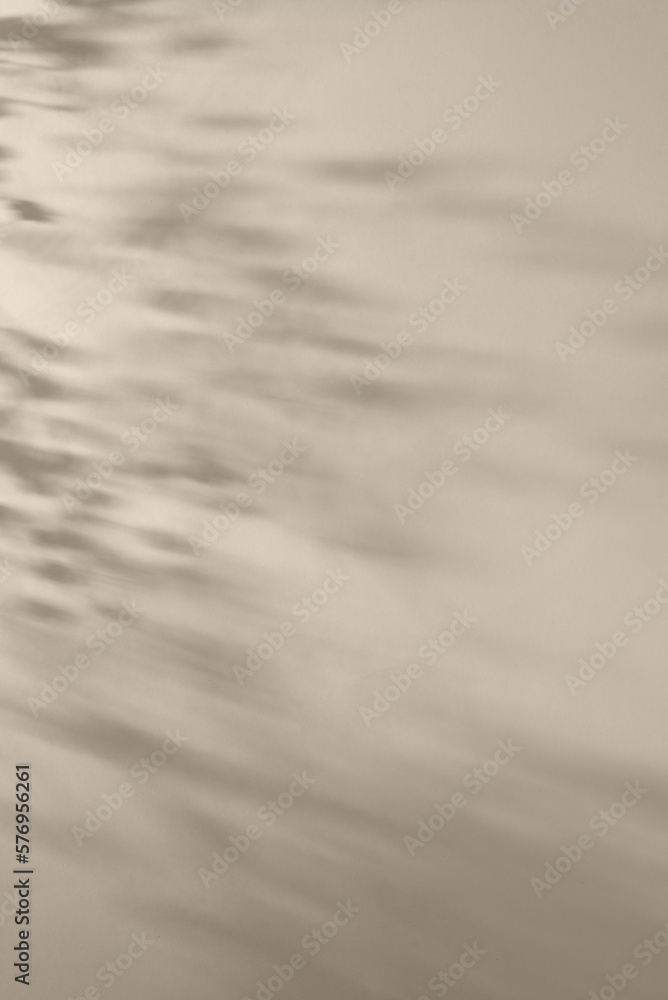 Aesthetic minimalist neutral background with sunlight shadows on beige ...
