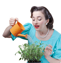 Retro 1950 Woman Gardening Free Stock Photo - Public Domain Pictures