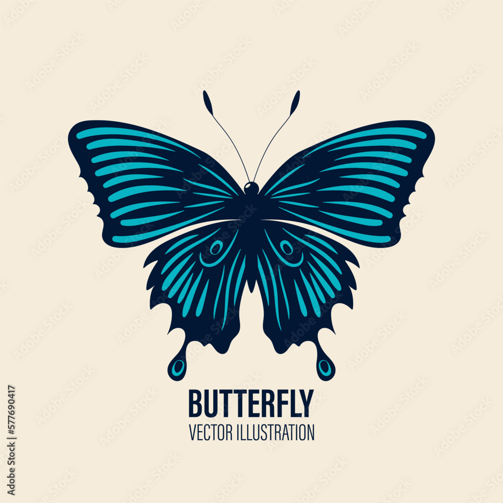 Image vectorielle Stock Vector Hand Drawn Butterfly Icon Closeup ...