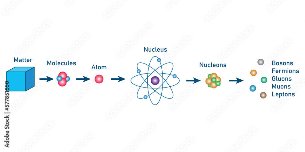 Hierarchical structure of quantum systems. Particle hierarchy. Vector ...