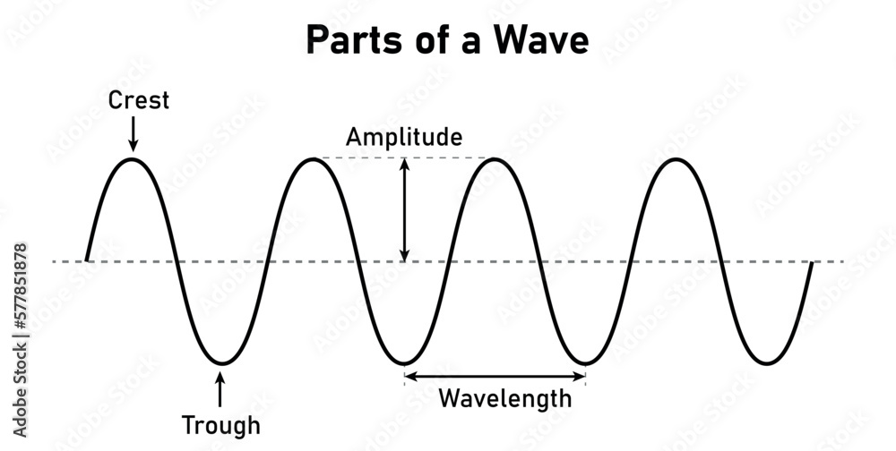 Parts Of A Transverse Wave