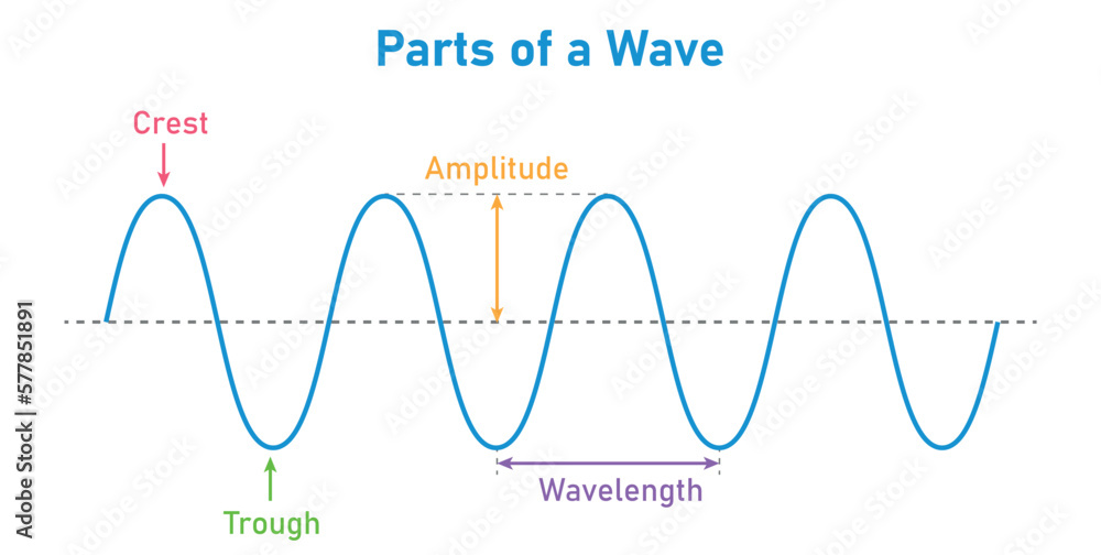 Parts of a transverse wave in physics. The basic properties of waves ...