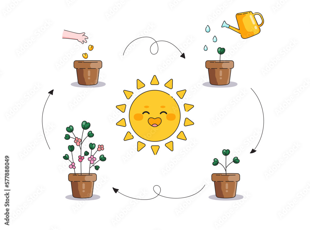 Cartoon cute demonstrative illustration of how plants grow. The process ...