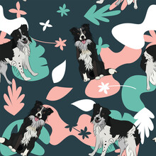 Dog Breed Collie Flowers Background Free Stock Photo - Public Domain ...