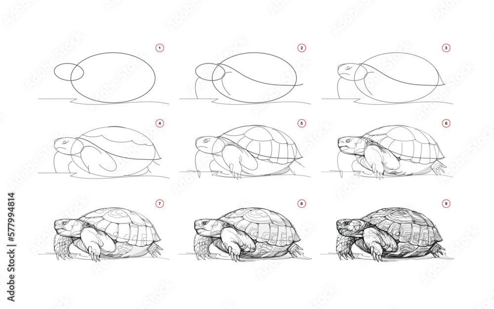 How To Draw Desert Animals Step By Step How To Draw Desert Animals Step By Step