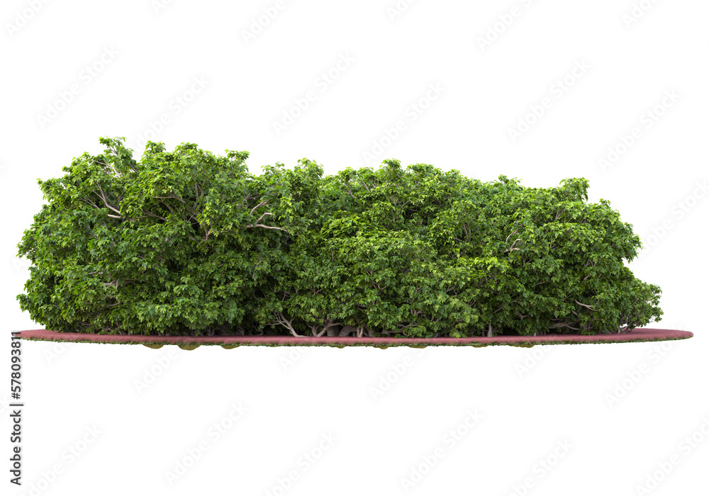 Realistic forest island on transparent background. 3d rendering ...