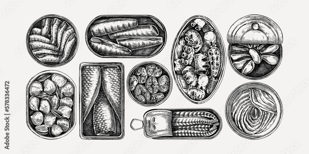 Hand-drawn canned fish and shellfish illustrations collection. Sardines ...