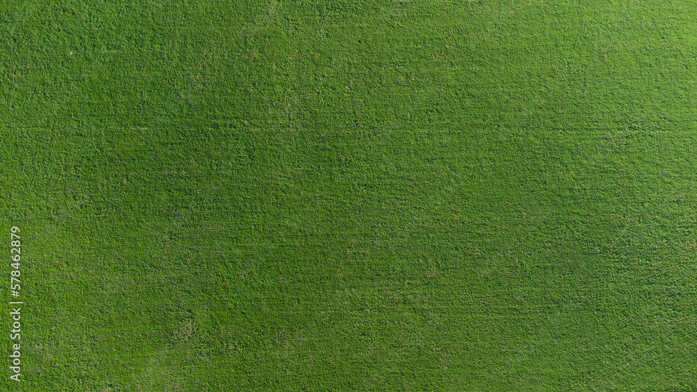 Texture d'herbe verte. Fond d'herbe verte naturelle prise d'un champ en ...