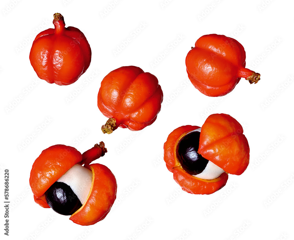 Foto de Stock fruta guaraná isolada em fundo transparente- fruta ...