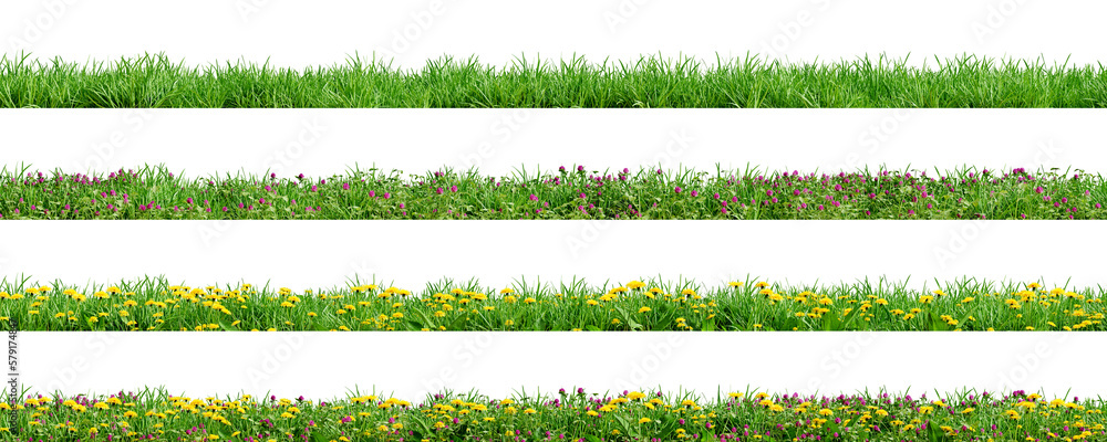 Various borders of green grass, dandelions and clovers, isolated on ...