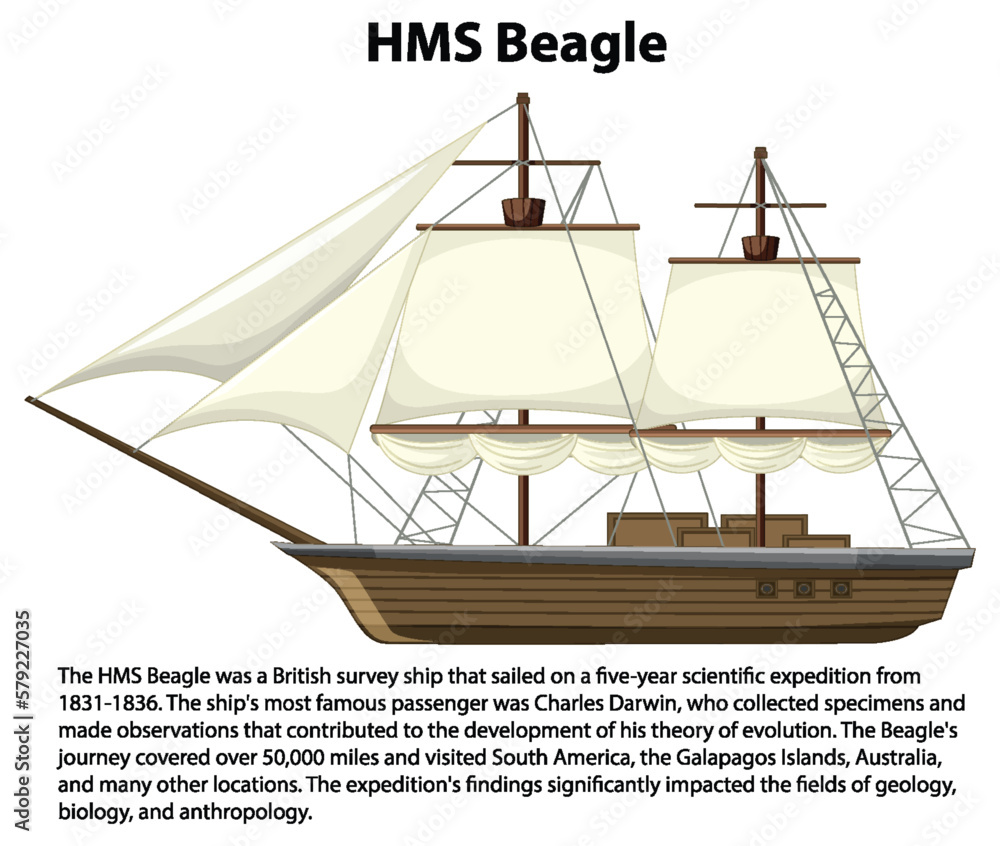 HMS Beagle ship informative poster Stock Vector | Adobe Stock